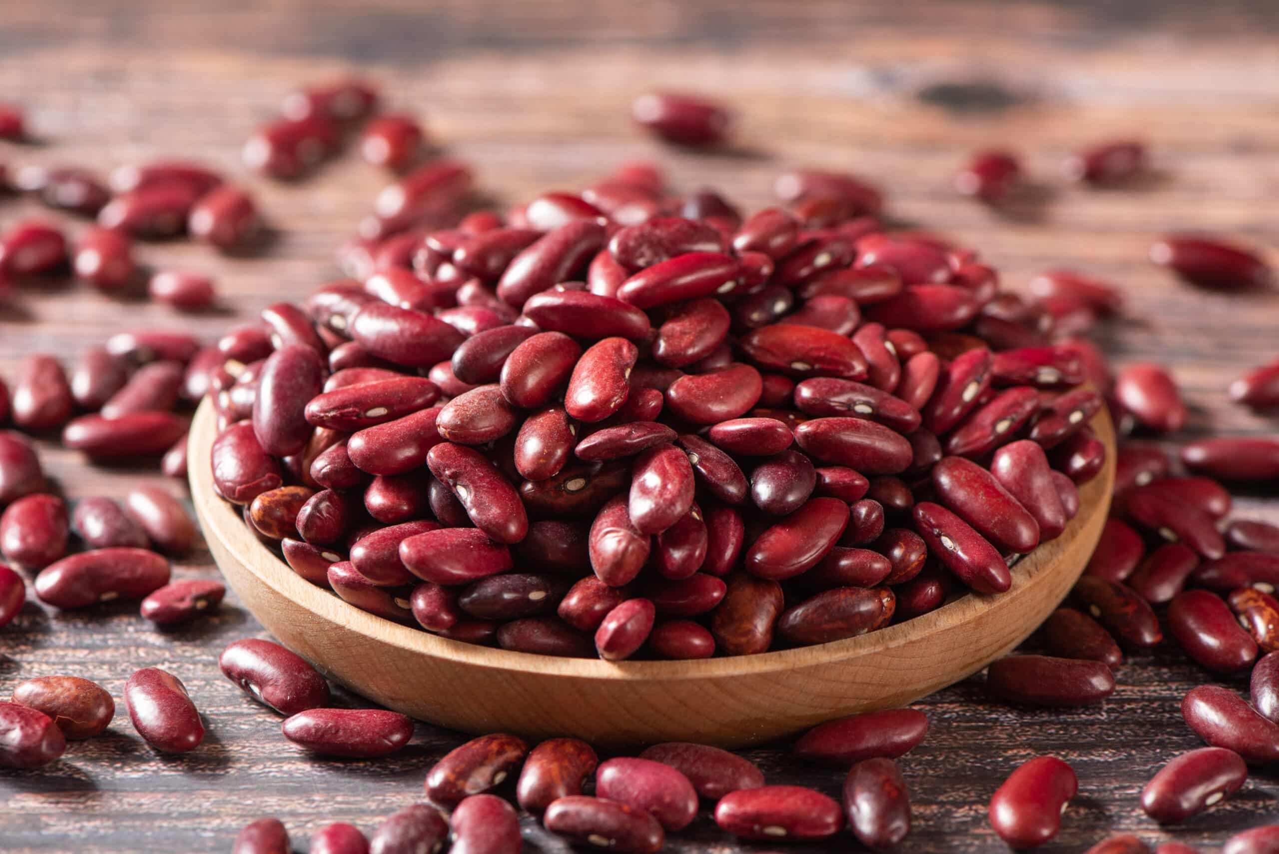 Mexican Restaurants Love Beans! - The Monarquia Mexican Restaurant
